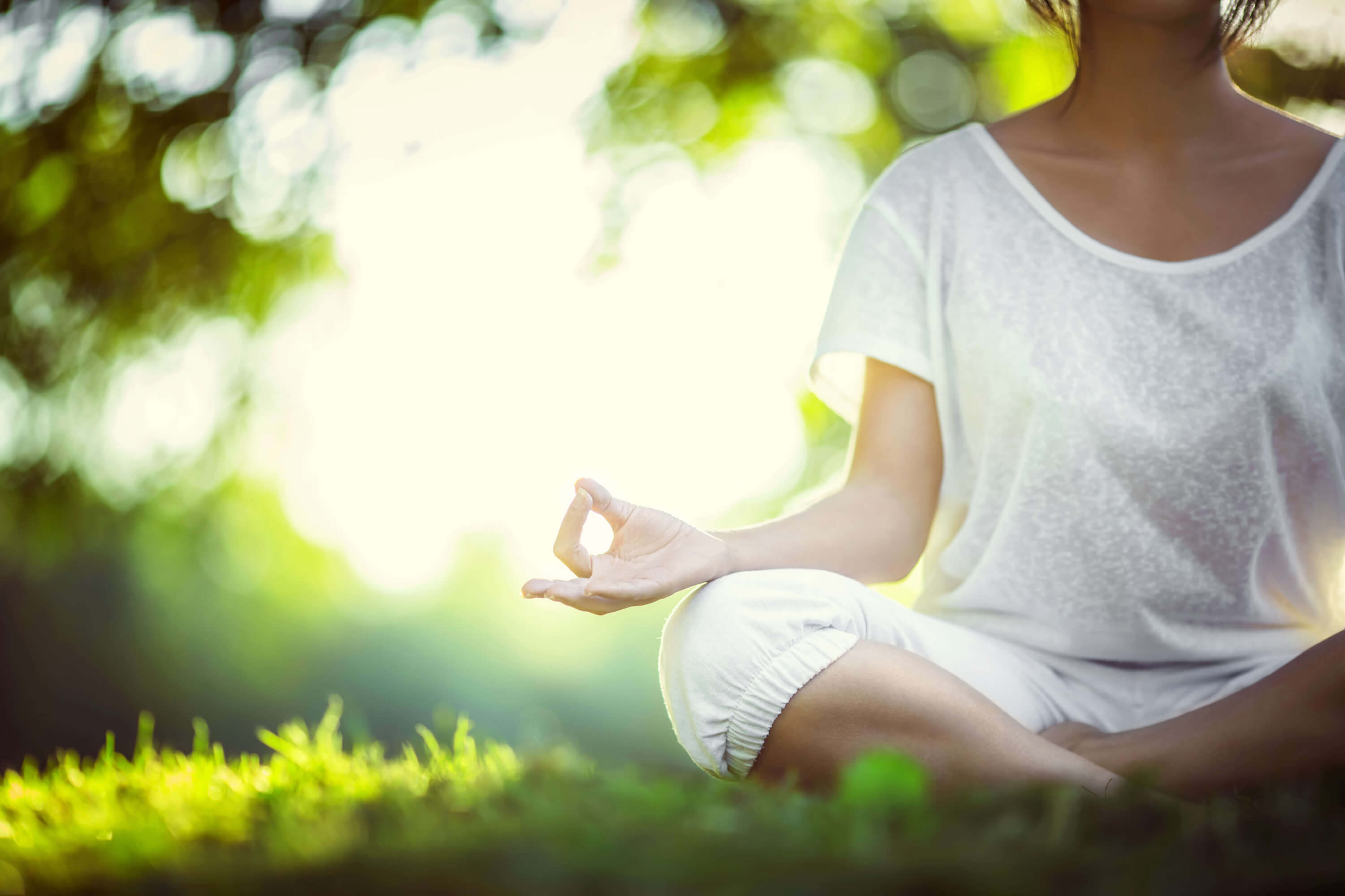 Spring Gardens Recovery Tour | Tampa | Spring Gardens Recovery